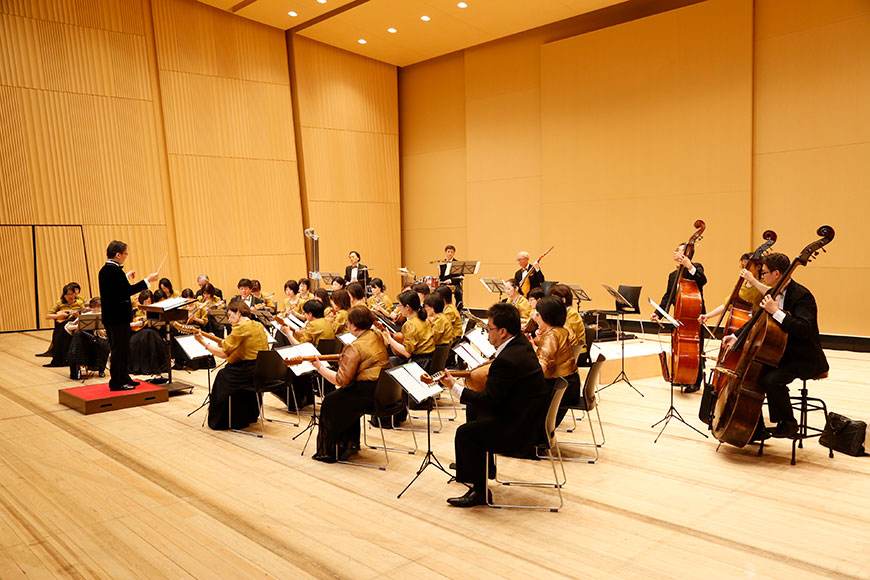 Tokyo Mandolin Ensemble Concert 2020 | Art Festivals & Events | Japan ...